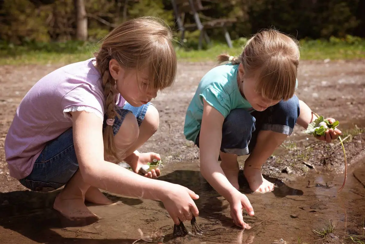 children playing nature